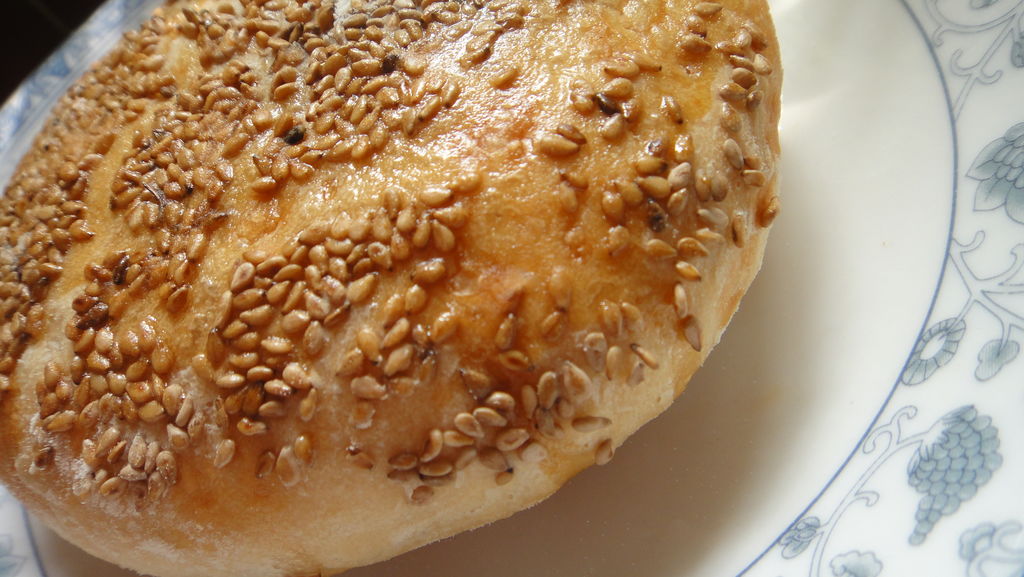 杨氏烧饼 饼 马蹄饼 第10页 大山谷图库